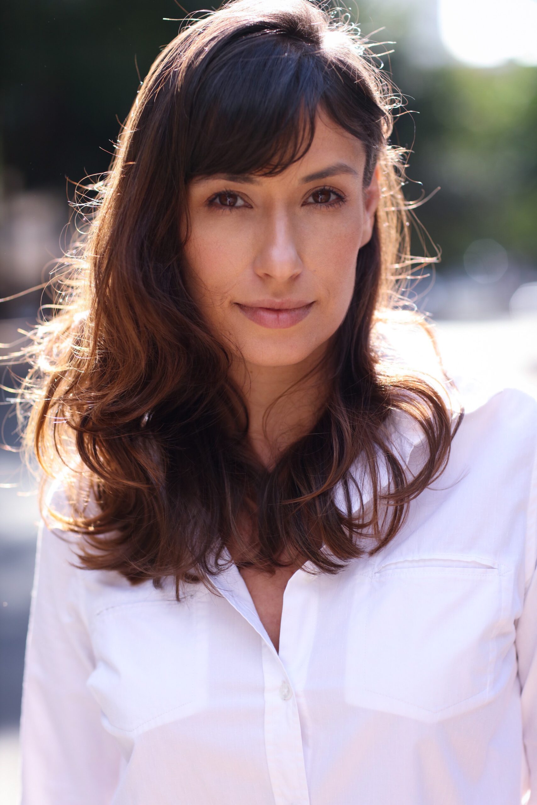 Fernanda Chicolet - BrLab